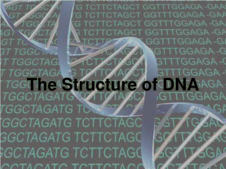 PPT - The Structure of DNA PowerPoint Presentation, free download - ID ...