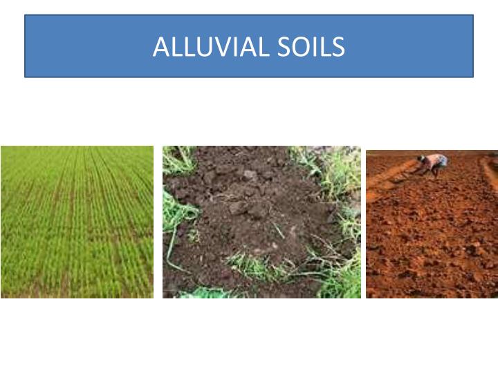 PPT - RESOURCES AND DEVELOPMENT PowerPoint Presentation - ID:1607331