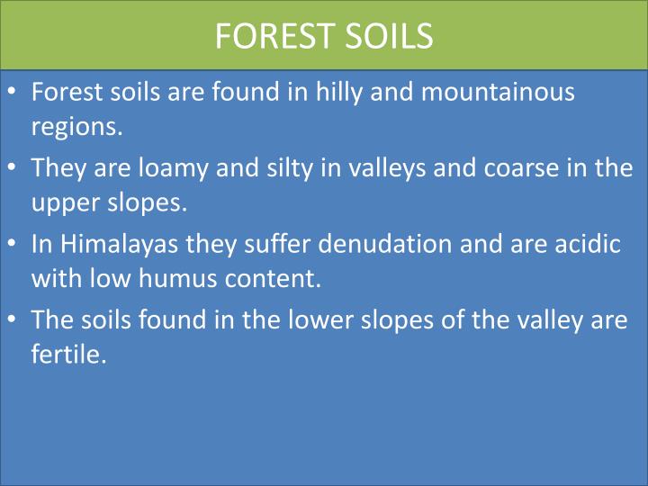 PPT - RESOURCES AND DEVELOPMENT PowerPoint Presentation - ID:1607331