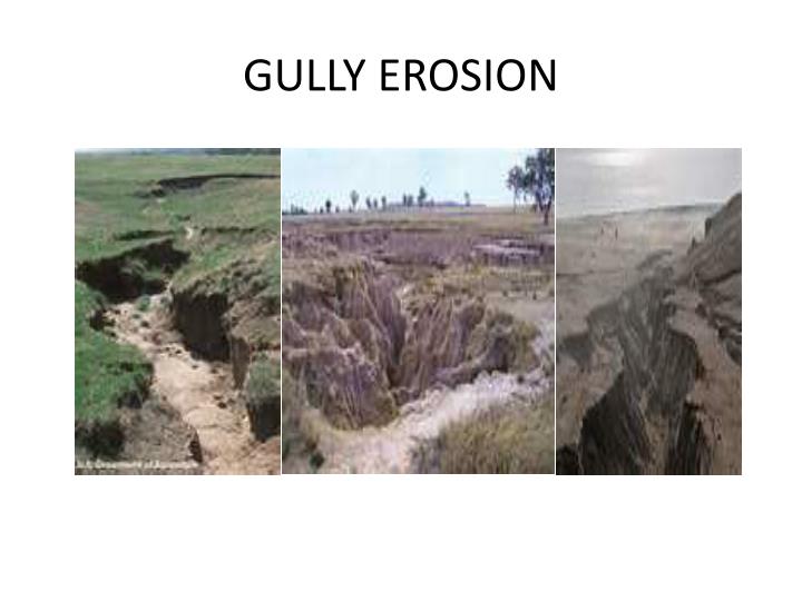 PPT - RESOURCES AND DEVELOPMENT PowerPoint Presentation - ID:1607331