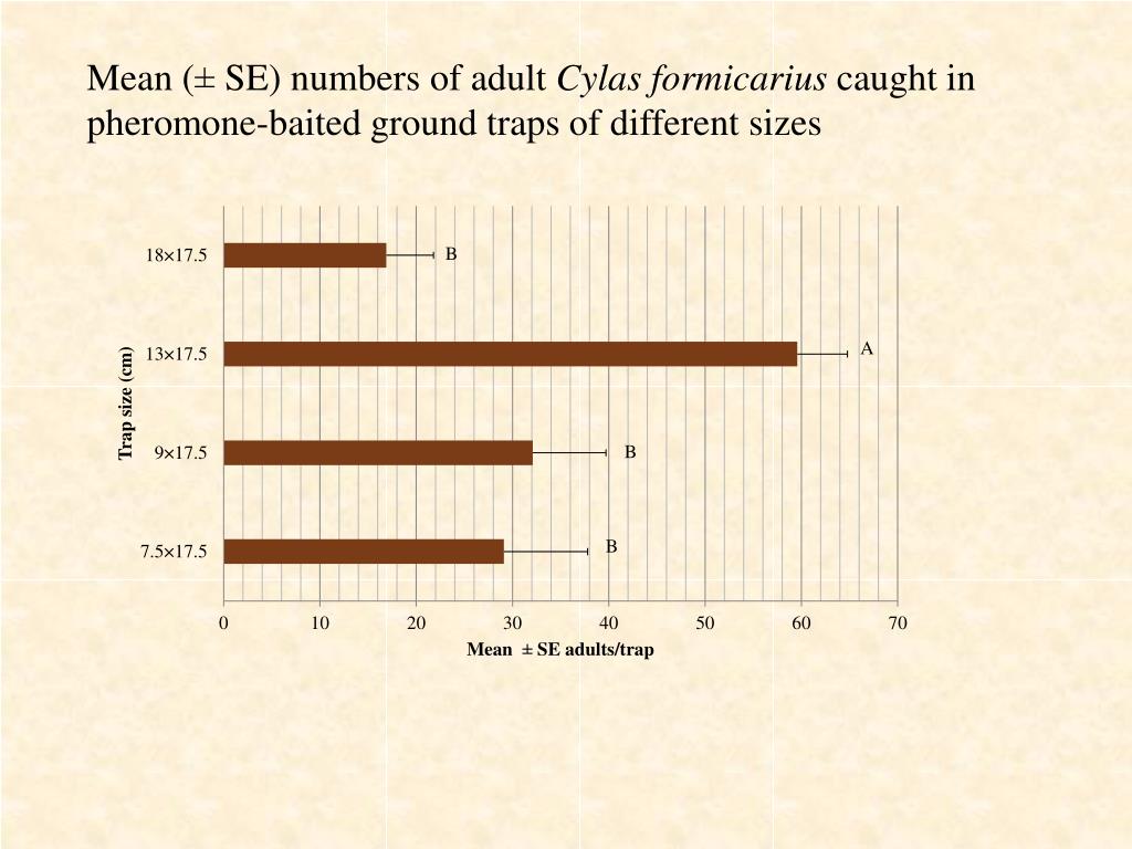 PPT - Control of Sweet Potato Weevil Cylas formicarius ( Coleoptera ...
