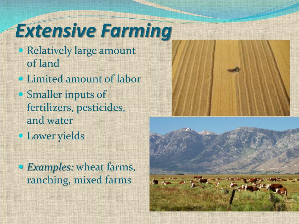 PPT - Unit 3 Food and Agricultural Issues PowerPoint Presentation, free ...