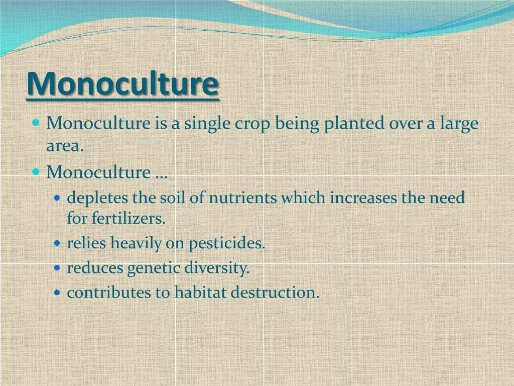 PPT - Understanding Hunger: Causes, Impacts, and Agricultural Solutions ...
