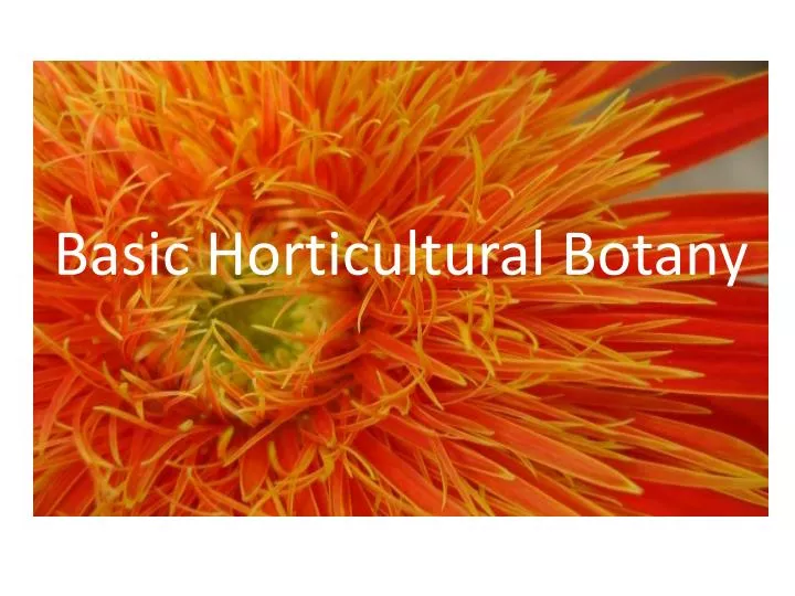 PPT - Basic Horticultural Botany PowerPoint Presentation, free download ...