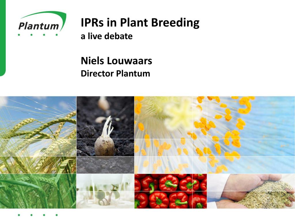 PPT - IPRs in Plant Breeding a live debate Niels Louwaars Director ...