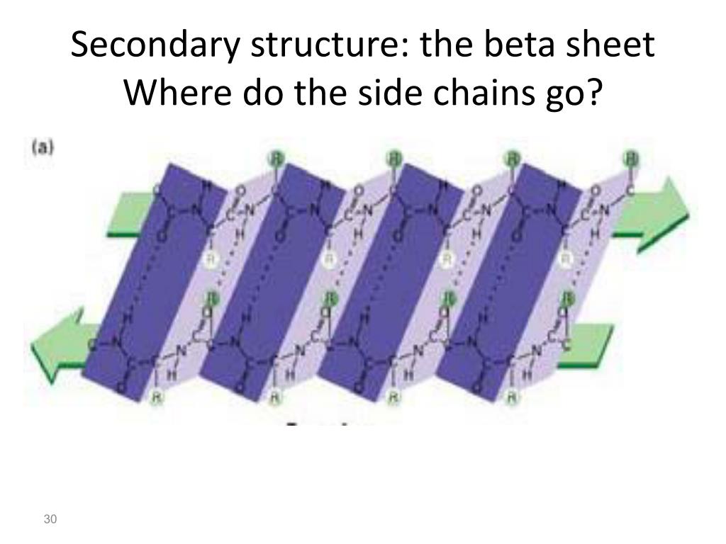 PPT - Cell Biology & Molecular Biology of The Cell PowerPoint ...