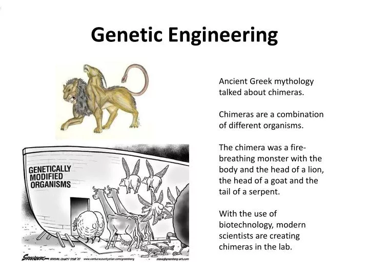 PPT - Genetic Engineering PowerPoint Presentation, free download - ID ...