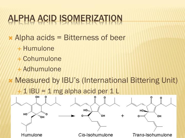 PPT - Biochemistry of Beer PowerPoint Presentation - ID:1609890