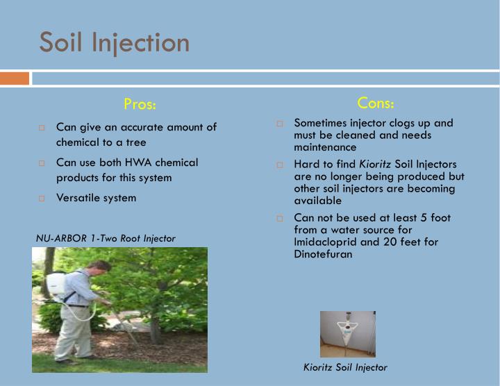 PPT - Hemlock Woolly adelgid PowerPoint Presentation - ID:1609986