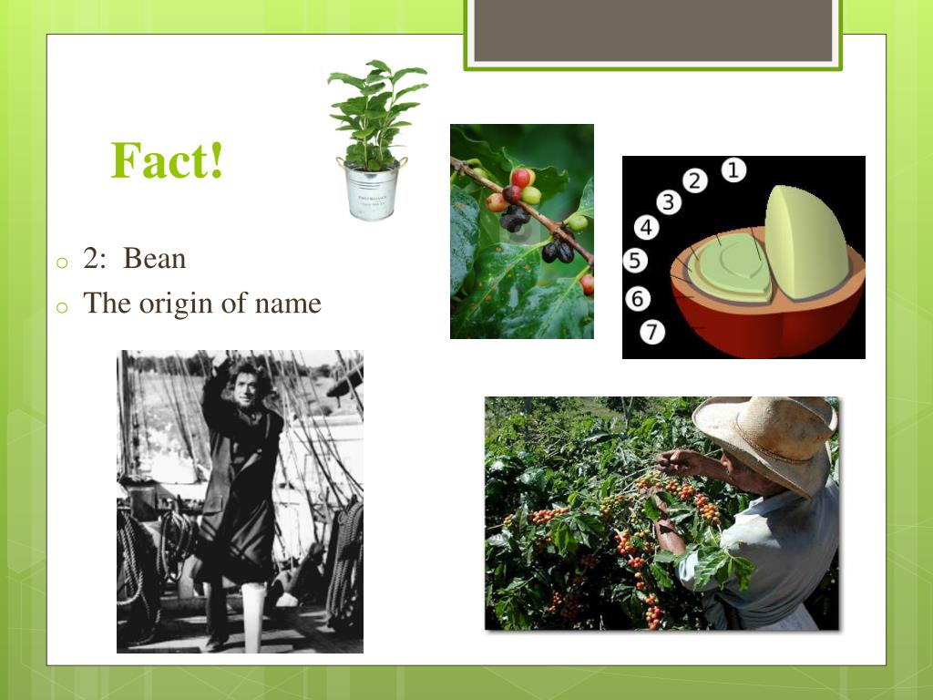 PPT - Inspire and nurture the human spirit – one person, one cup and ...