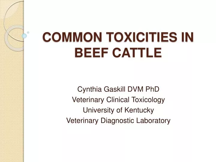 PPT - COMMON TOXICITIES IN BEEF CATTLE PowerPoint Presentation, free ...