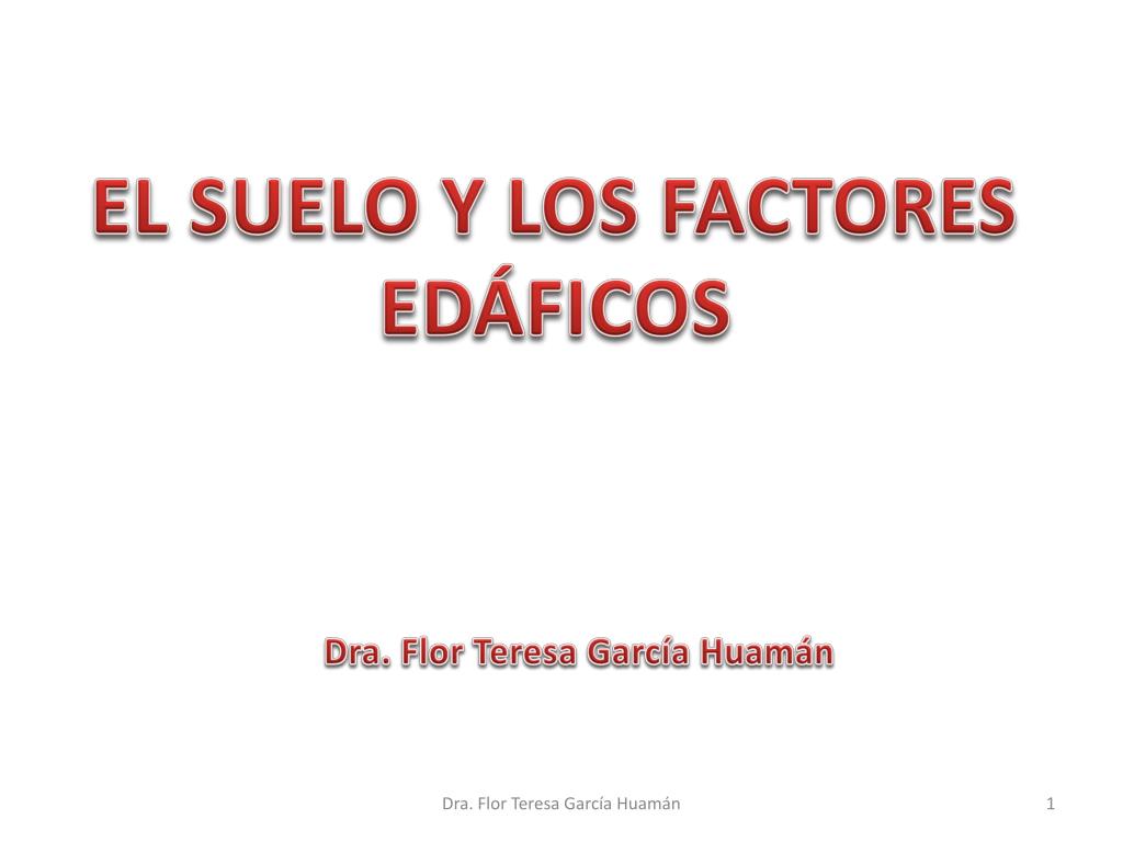 PPT - EL SUELO Y LOS FACTORES EDÁFICOS PowerPoint Presentation, free ...