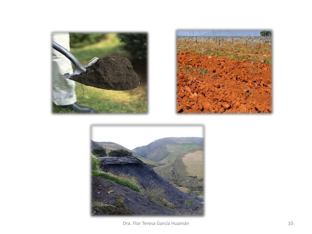 PPT - EL SUELO Y LOS FACTORES EDÁFICOS PowerPoint Presentation, free ...