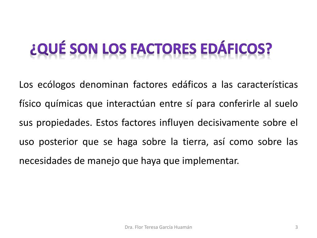 PPT - EL SUELO Y LOS FACTORES EDÁFICOS PowerPoint Presentation, free ...