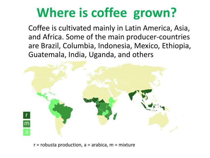 PPT - Coffee PowerPoint Presentation - ID:1613076