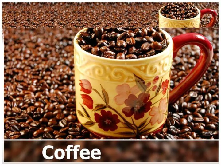 PPT - Coffee PowerPoint Presentation, free download - ID:1613086