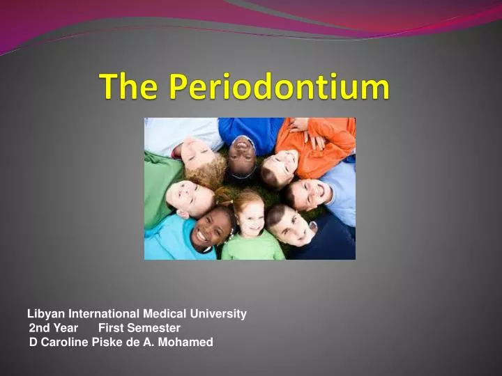 PPT - The Periodontium PowerPoint Presentation, free download - ID:1615258