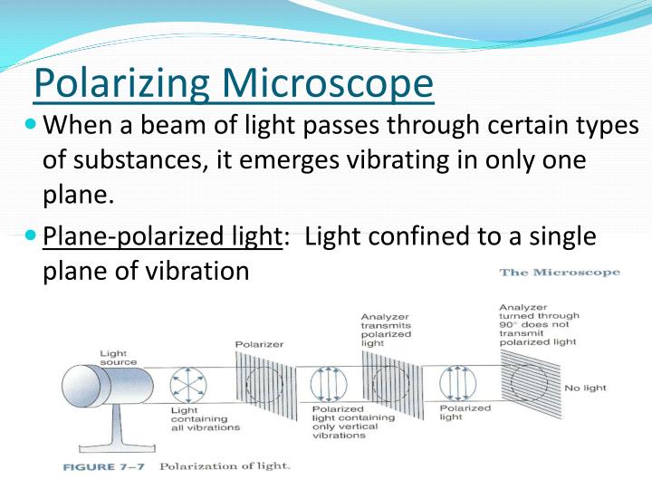 PPT - Laboratory Analysis PowerPoint Presentation - ID:1615607