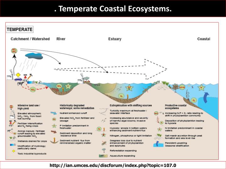 PPT - MK. Land Use Planning: Integrated Coastal Zone Management ...