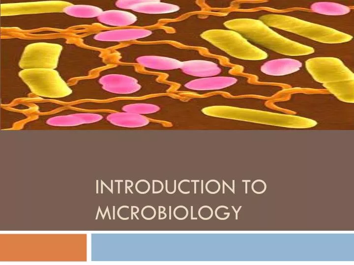PPT - Introduction to Microbiology PowerPoint Presentation, free ...