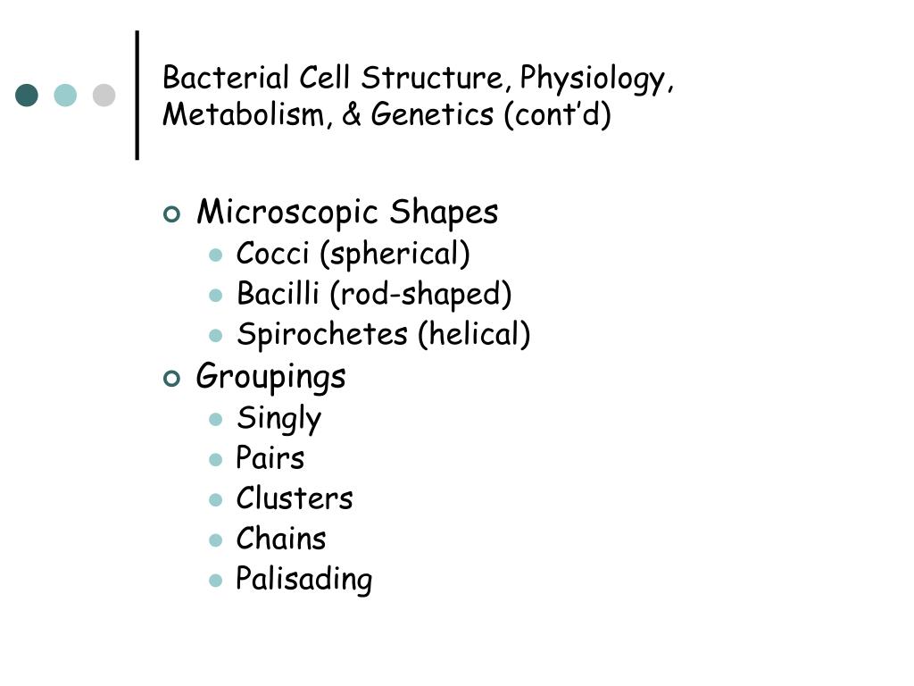 PPT - MLAB 2434 – CLINICAL MICROBIOLOGY KERI BROPHY-MARTINEZ PowerPoint ...
