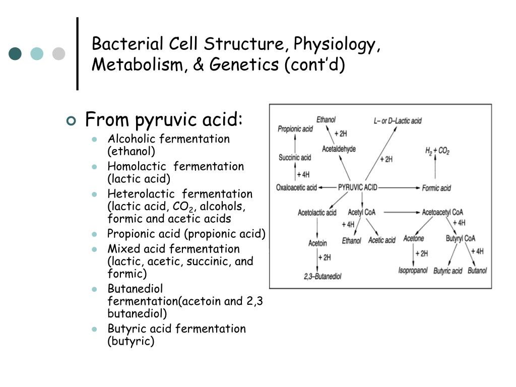 PPT - MLAB 2434 – CLINICAL MICROBIOLOGY KERI BROPHY-MARTINEZ PowerPoint ...