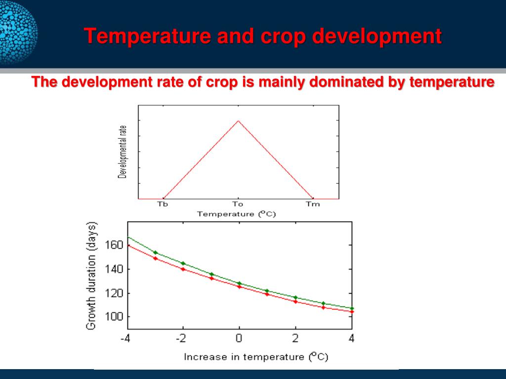 PPT - Assessment of climate change impacts on agriculture and a case ...