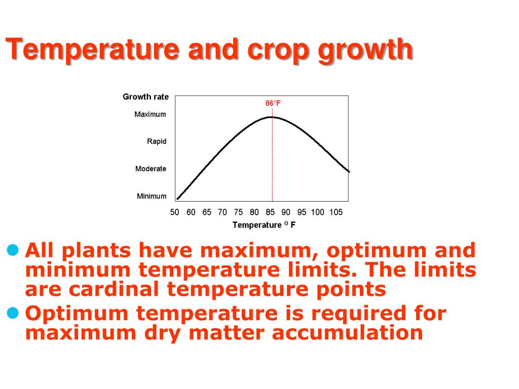 PPT - Assessment of climate change impacts on agriculture and a case ...