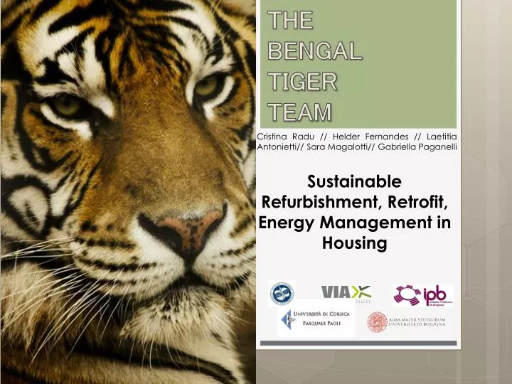 PPT - THE BENGAL TIGER TEAM PowerPoint Presentation, free download - ID ...