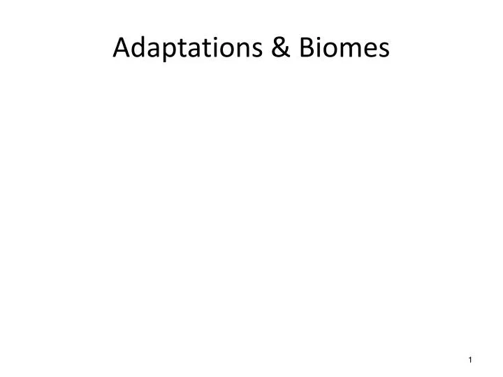 PPT - Adaptations & Biomes PowerPoint Presentation, free download - ID ...