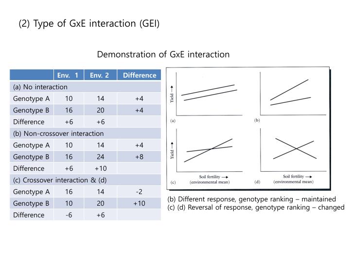 PPT - Ch 5. Genotype x environment interaction PowerPoint Presentation ...