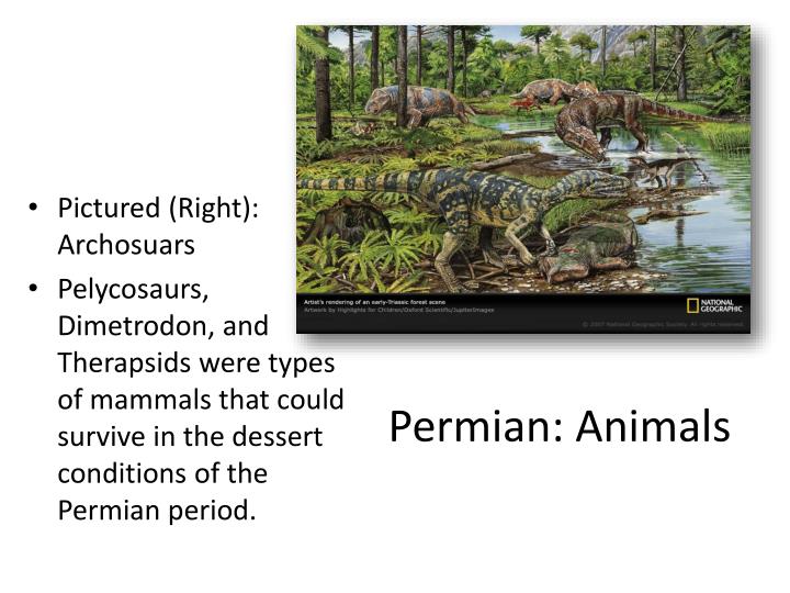 PPT - Permian: The Mass Extinction PowerPoint Presentation - ID:1619500