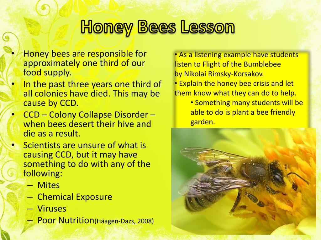 PPT - Embracing Green Living in the Music Classroom PowerPoint ...