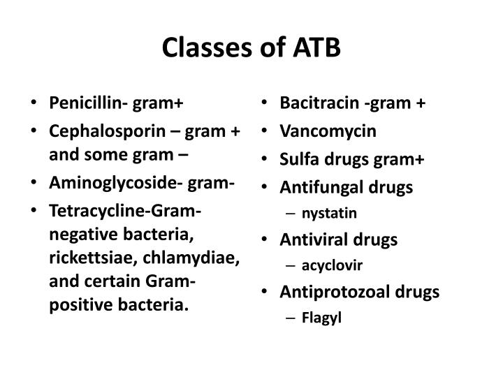 PPT - Microbiology PowerPoint Presentation - ID:1619866
