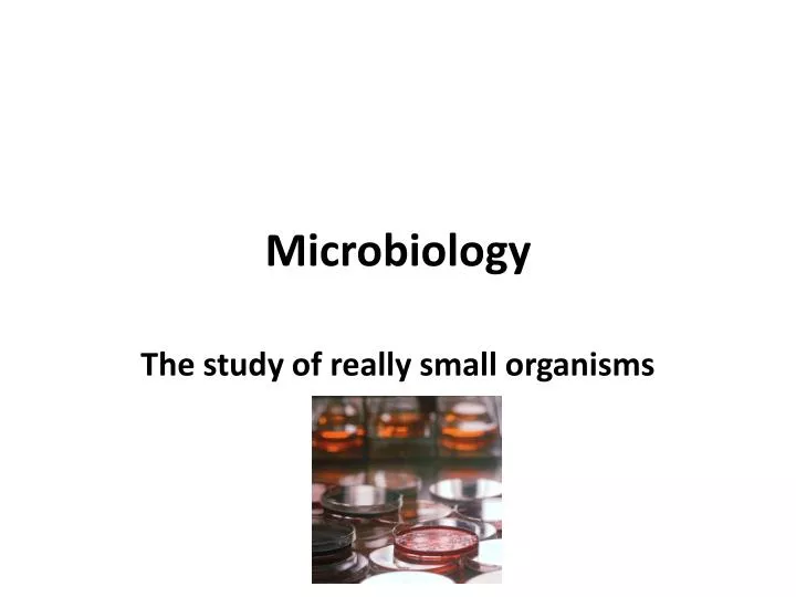 PPT - Microbiology PowerPoint Presentation, free download - ID:1619866
