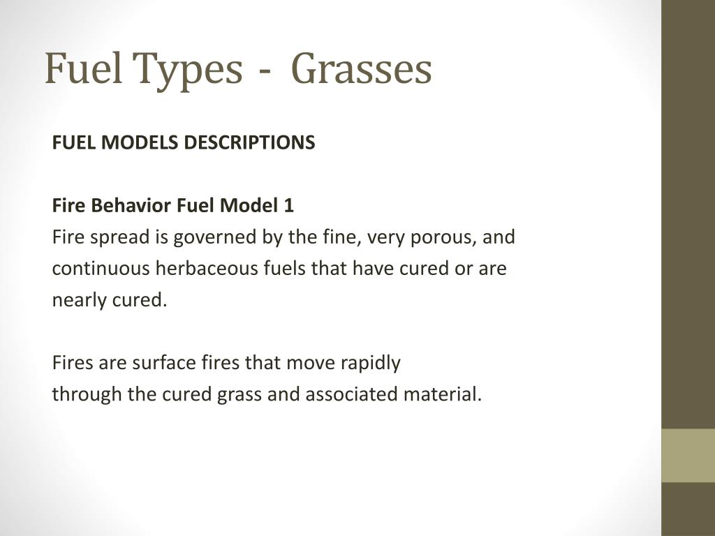 PPT - Wendy Gandy Resource Specialist Texas Forest Service PowerPoint ...