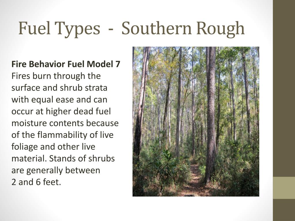 PPT - Wendy Gandy Resource Specialist Texas Forest Service PowerPoint ...