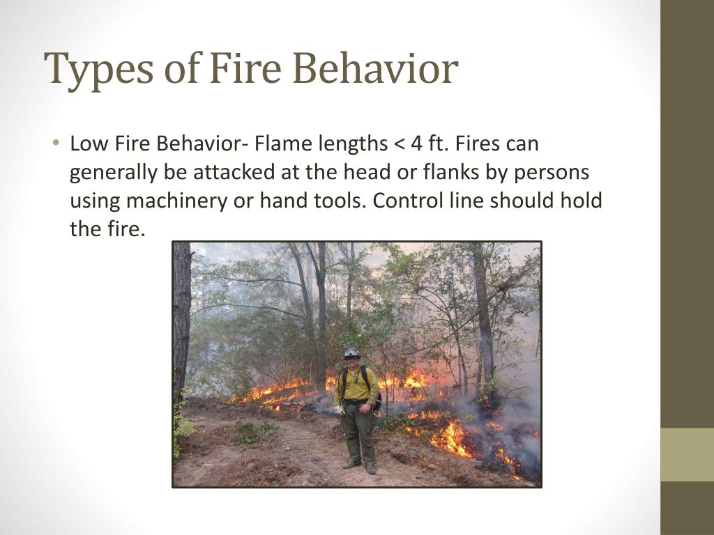 PPT - Wendy Gandy Resource Specialist Texas Forest Service PowerPoint ...