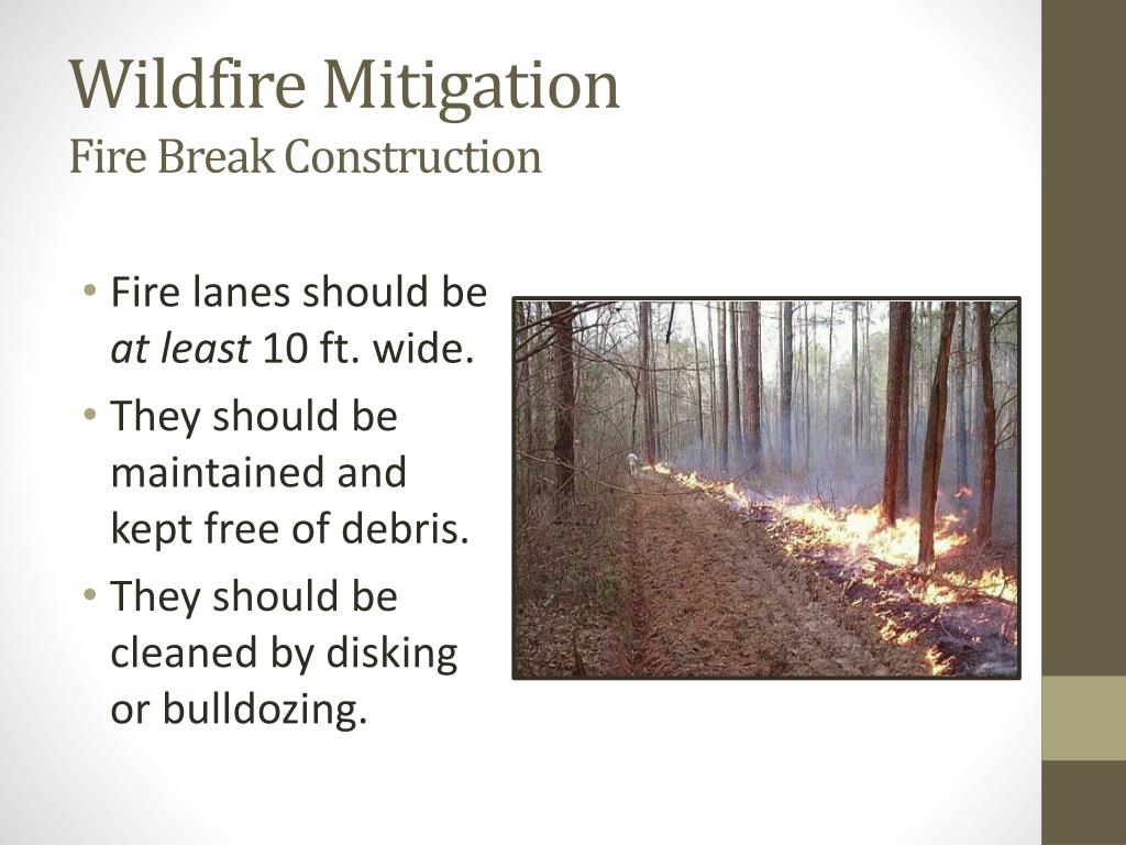 PPT - Wendy Gandy Resource Specialist Texas Forest Service PowerPoint ...