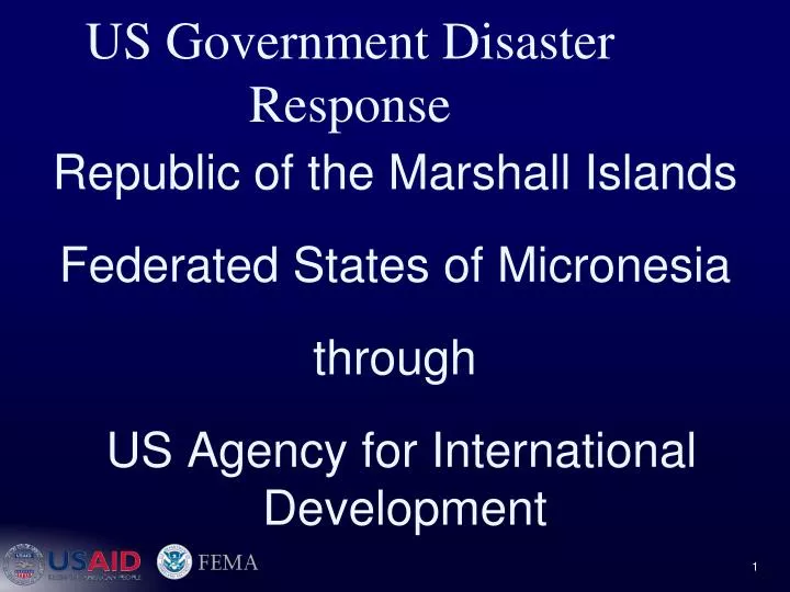 PPT - US Government Disaster Response PowerPoint Presentation, free ...