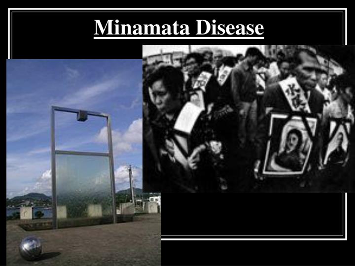 PPT - ENVIRONMENTAL DISASTERS PowerPoint Presentation - ID:1619970