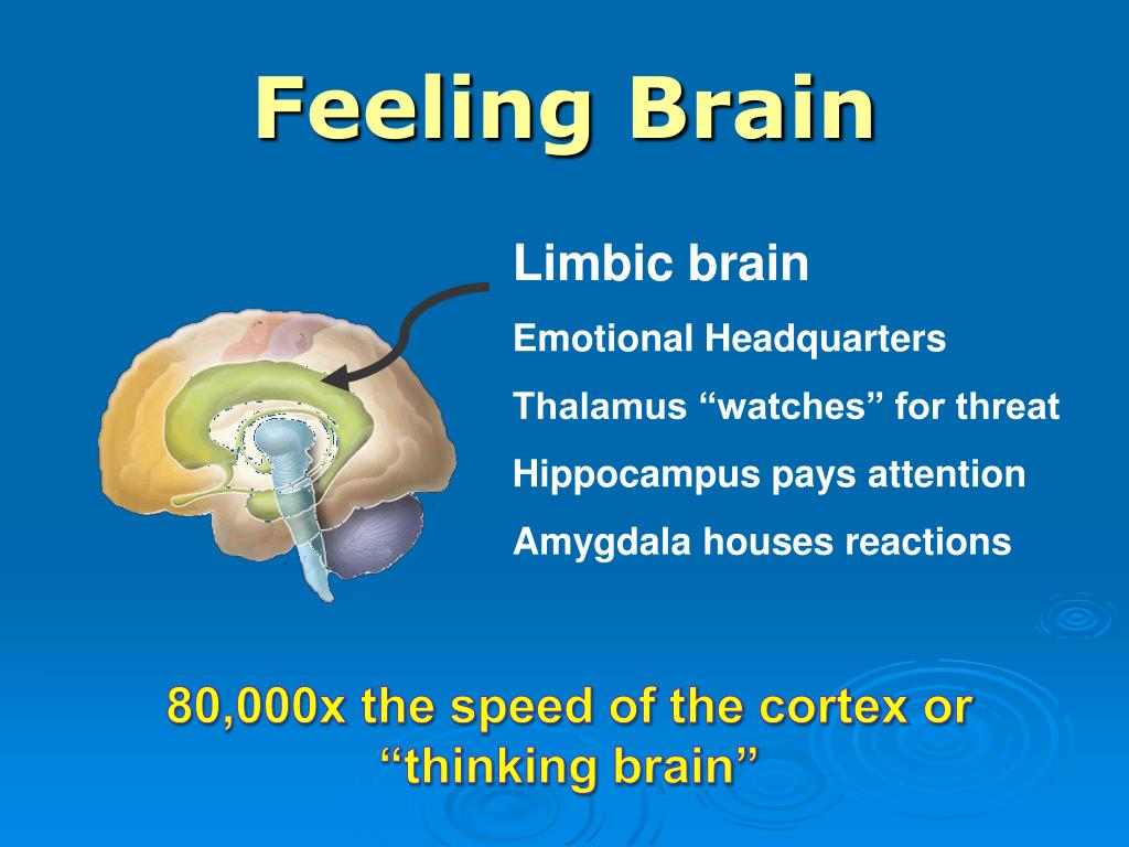 PPT - Mastering Emotional Intelligence for Personal and Professional ...