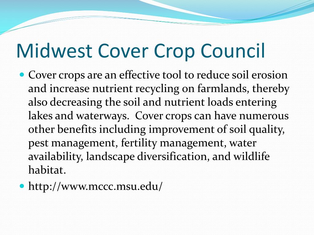 PPT - Environmental Benefits of Cover Crops PowerPoint Presentation ...