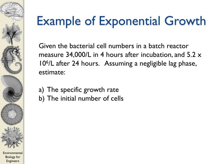 PPT - CEE 210 Environmental Biology for Engineers PowerPoint ...