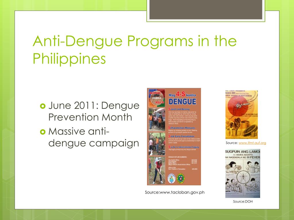 PPT - Dengue Fever in the Philippines PowerPoint Presentation, free ...