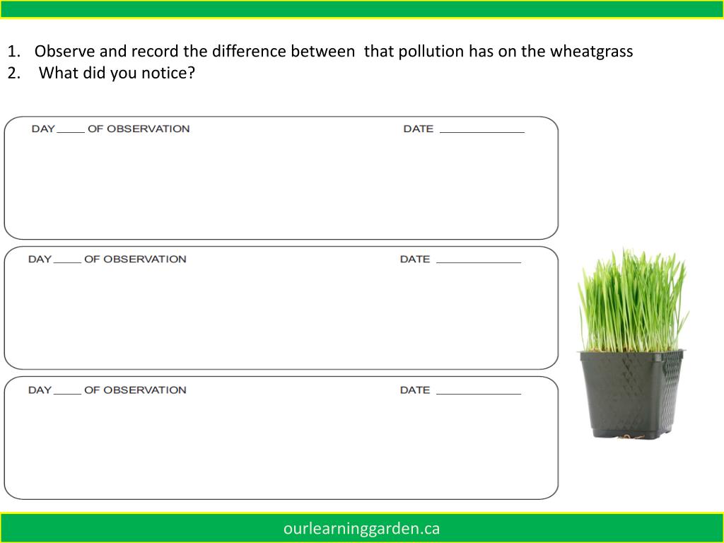 PPT - Our Learning Garden - Grade 7 Lesson 1-3 Sacred Soil and ...