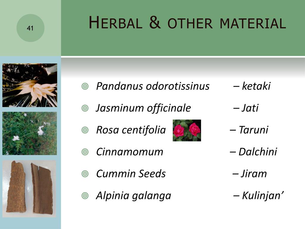 PPT - Aroma therapy in Ayurveda C oncept and Therapeutic applications ...