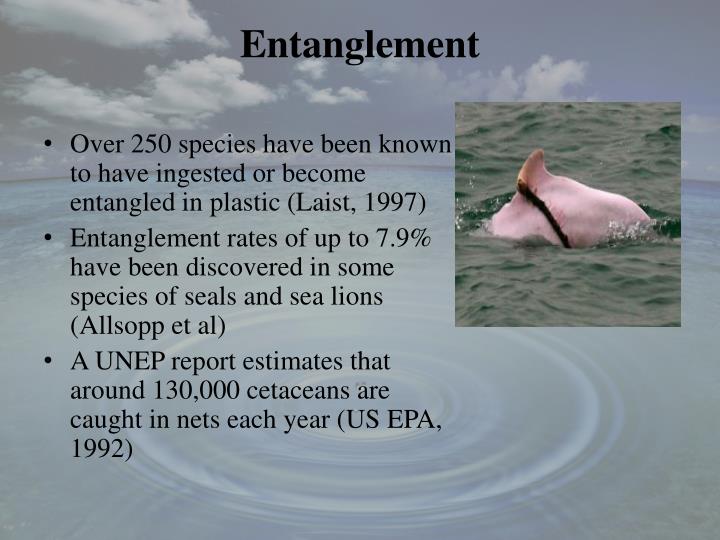 PPT - PLASTIC OCEAN PowerPoint Presentation - ID:1622380