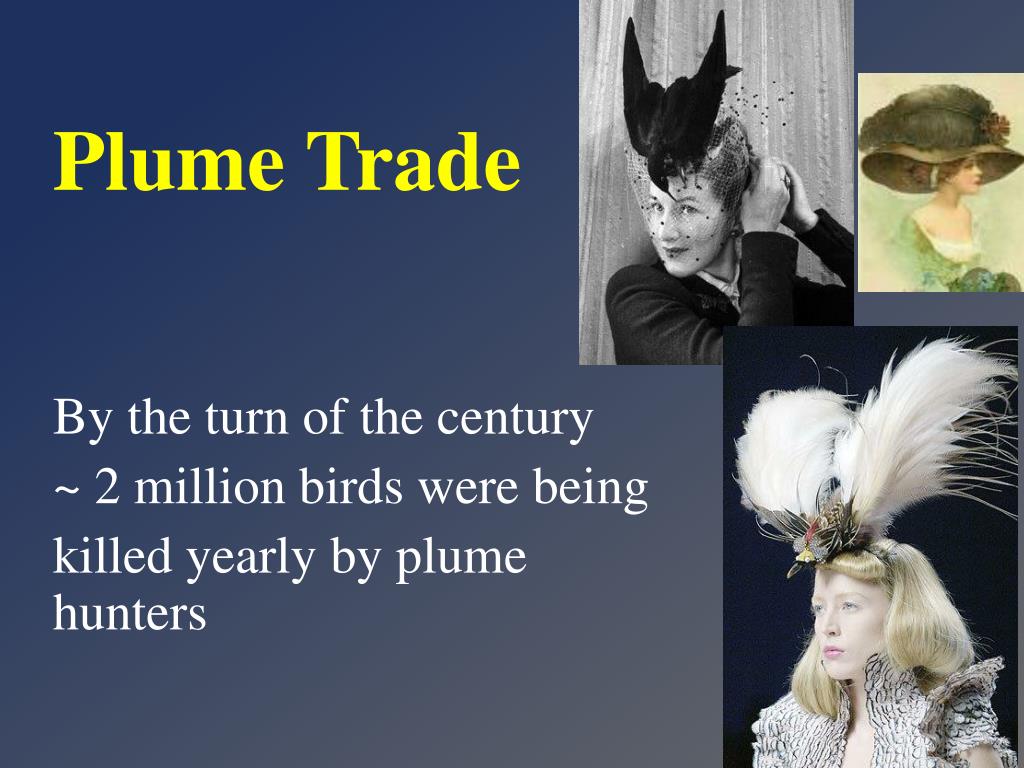 PPT - The Fish and Wildlife Service has a mandate and a trust ...