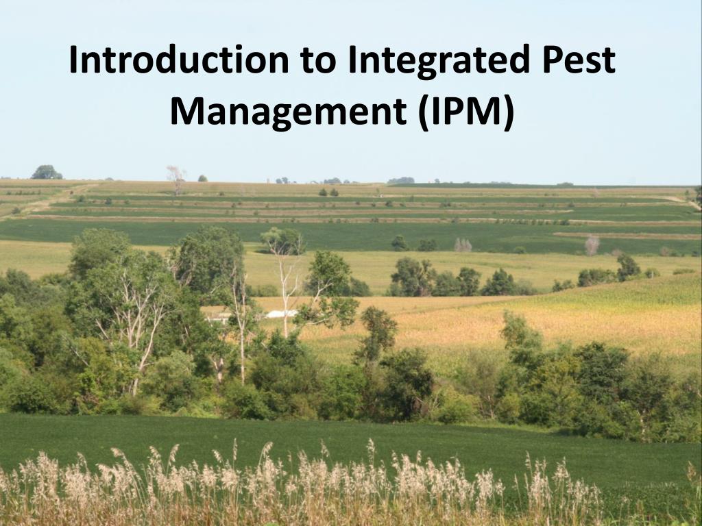 PPT - Introduction to Integrated Pest Management (IPM) PowerPoint ... PPT - Introduction to Integrated Pest Management (IPM) PowerPoint ...